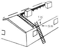 Feiing og tilsyn - Rødøy kommune